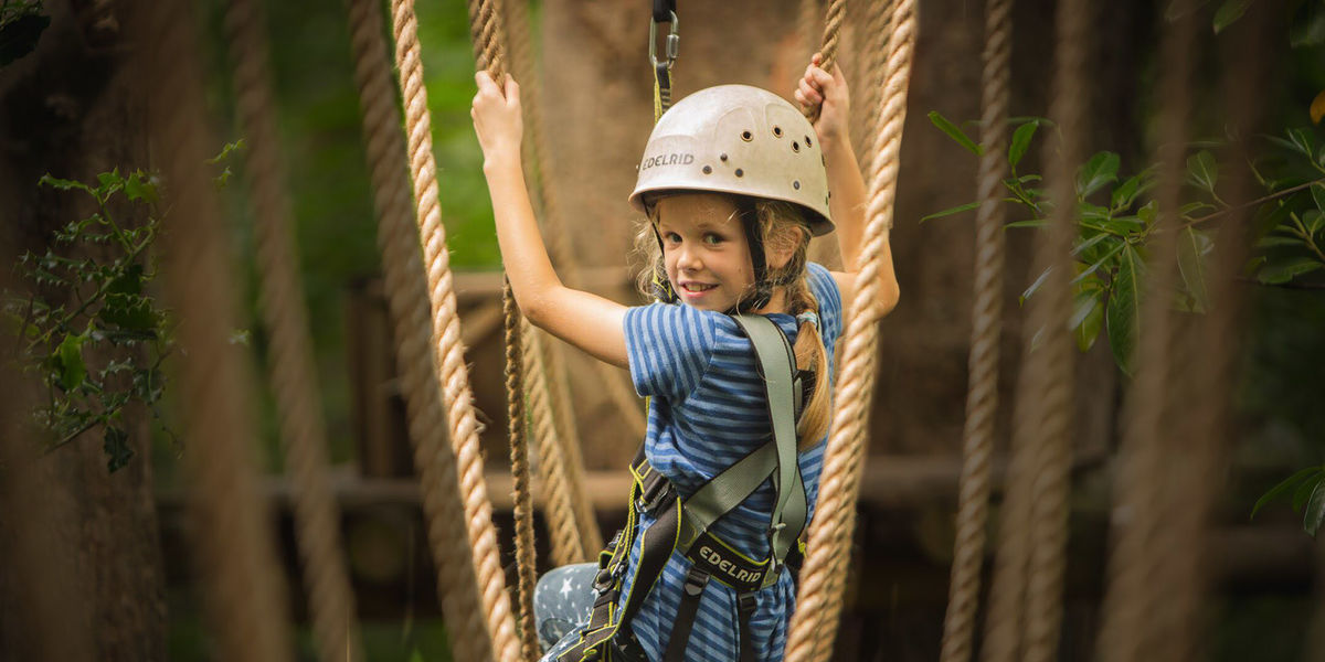 Squirrel's Scramble - Tree Adventure Park | Kilruddery | Bray Wicklow